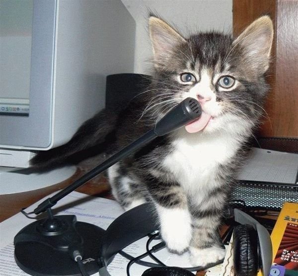 The Silver Emulsion Podcast: Ep. 168 – Update -- Silver Emulsion Film ...